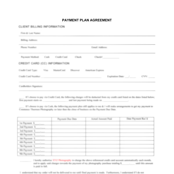 Payment Plan Form - Etsy