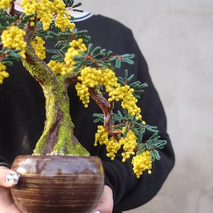 Beaded Artificial Golden Mimosa - Miniature Tree - Silver Wattle ...