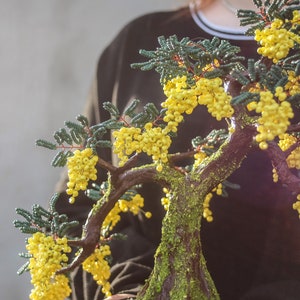 Beaded Artificial Golden Mimosa - Miniature Tree - Silver Wattle ...