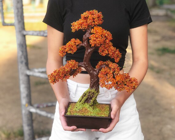 Orange Bonsai