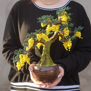 Beaded Artificial Golden Mimosa - Miniature Tree - Silver Wattle ...