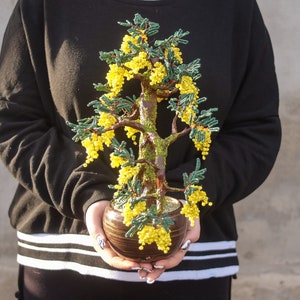 Beaded Artificial Golden Mimosa - Miniature Tree - Silver Wattle ...