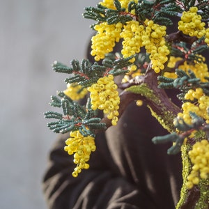 Beaded Artificial Golden Mimosa - Miniature Tree - Silver Wattle ...