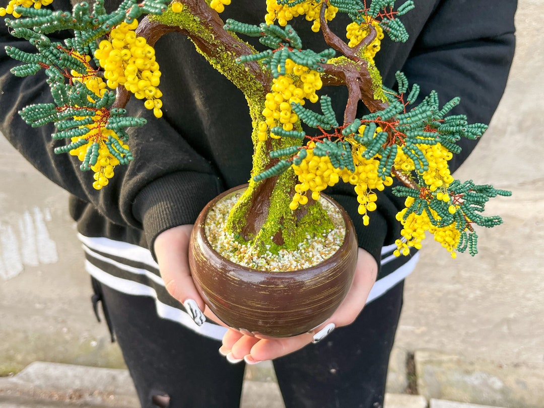 Beaded Artificial Golden Mimosa - Miniature Tree - Silver Wattle ...