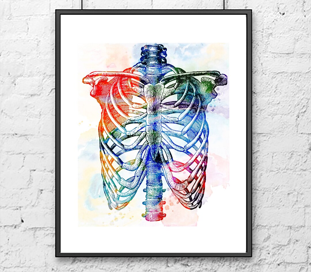 Medical Art Print, Medical Wall Art, Medical Poster, Anatomy Print ...