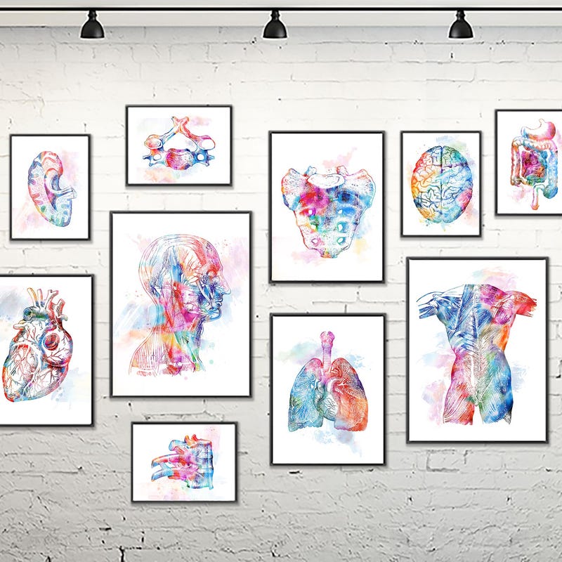 Medical Art - Etsy
