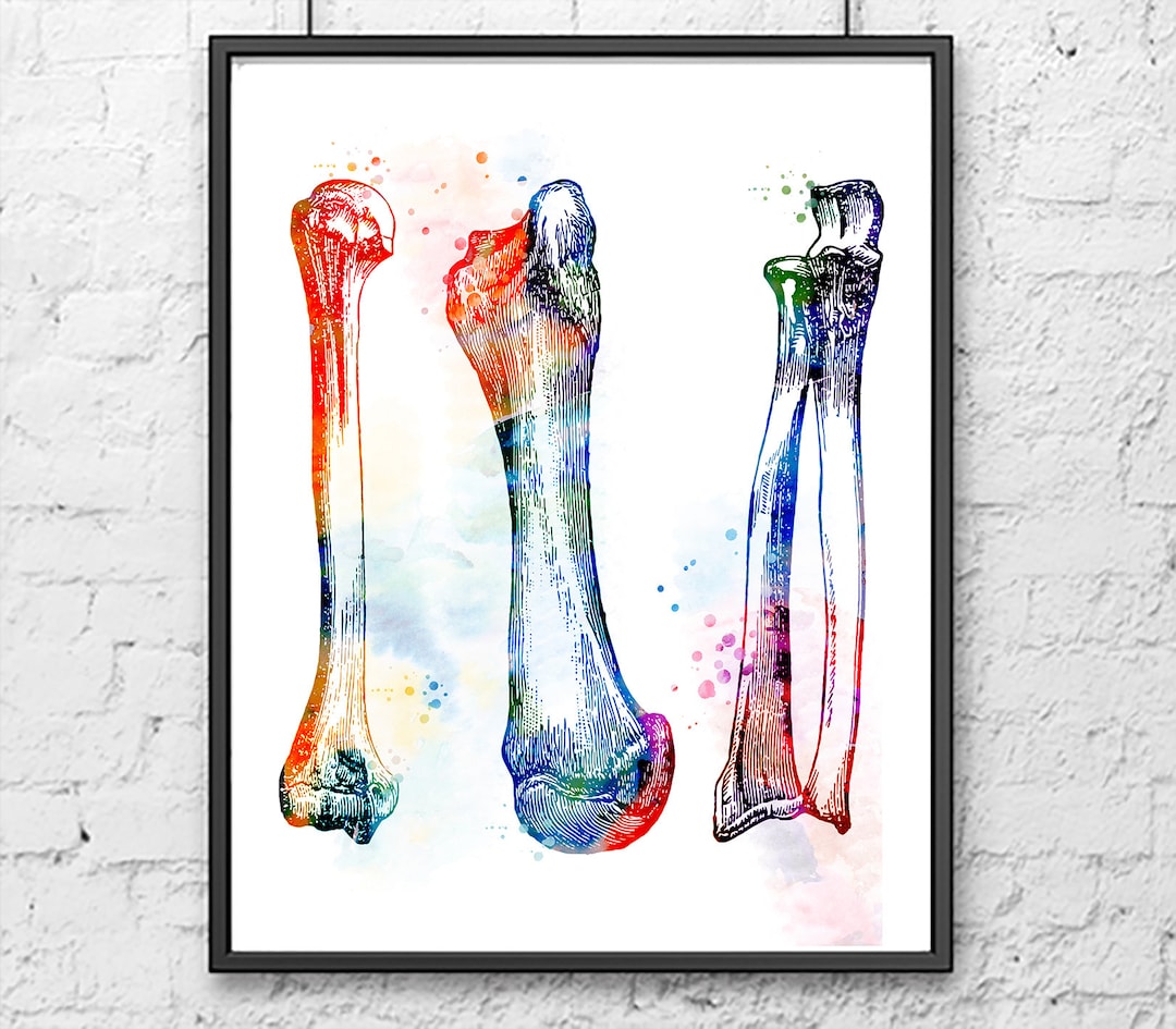 Medical Art Print, Medical Wall Art, Medical Poster, Anatomy Print ...