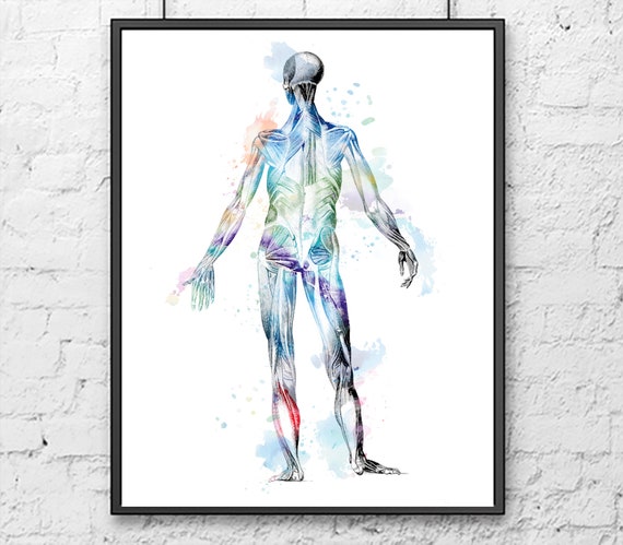 Dessin Du Dos Humain Nacnic Affiches D'anatomie En Noir Et Blanc Avec