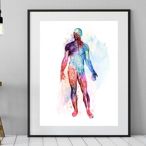 Circulatory System, Watercolor Print Human Veins, Medical Art Print ...