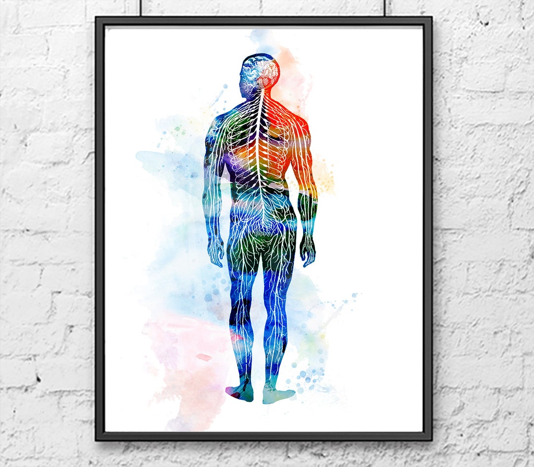 Medical Art Print, Medical Wall Art, Medical Poster, Anatomy Print ...