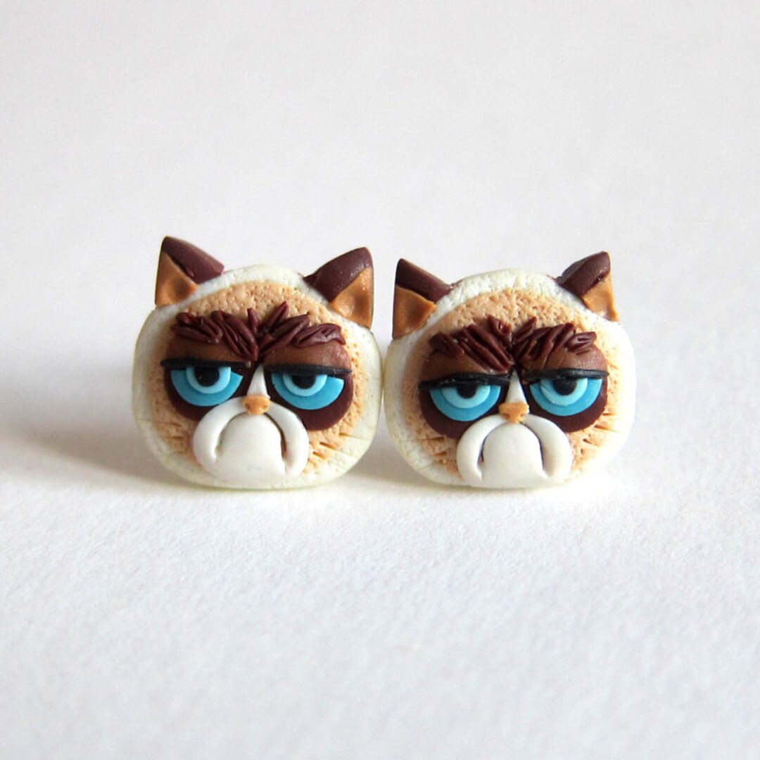 Grumpy Cat Earrings, Funny Cat Earrings, Animal Earrings, Anti ...