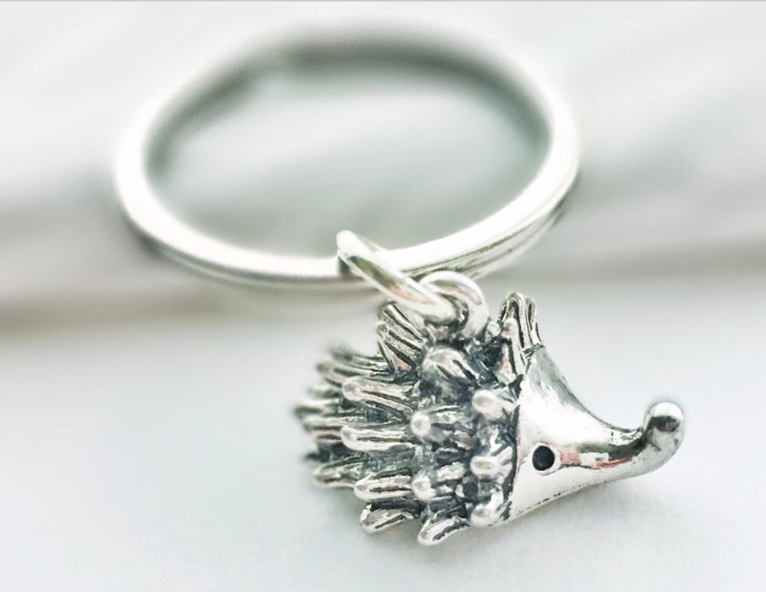 Hedgehog Gifts, Cute Hedgehog Keyring, Personalised Keychain for ...