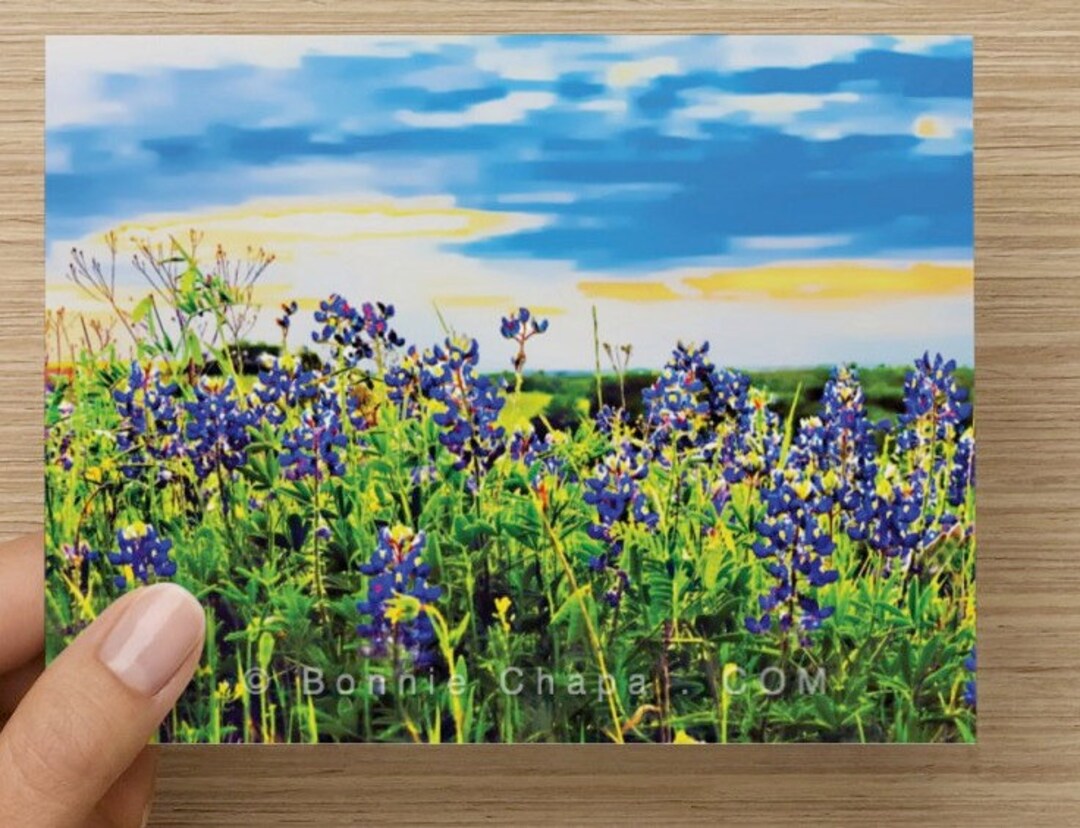 Texas Bluebonnet Sunset Note Cards, Hill Country Landscape, Set of 8 - Etsy
