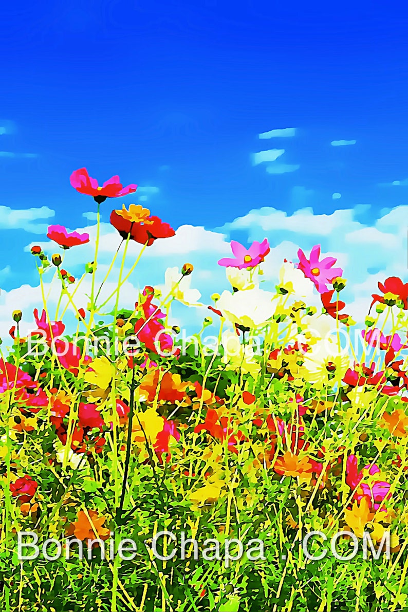 Giclee Print Poppies at the Mail Box Flowers Poppy Wildflower Texas ...