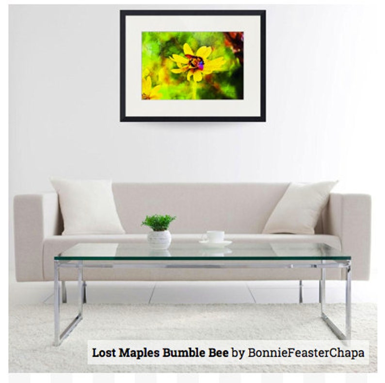 Bumble Bee Yellow Flower Lost Maples Texas State Park Wall Art Giclee ...