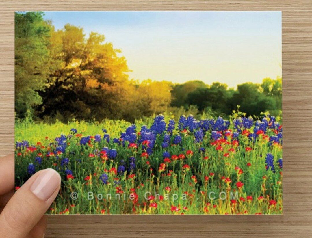Texas Bluebonnet Note Cards, Floral Landscape, Set of 8 - Etsy