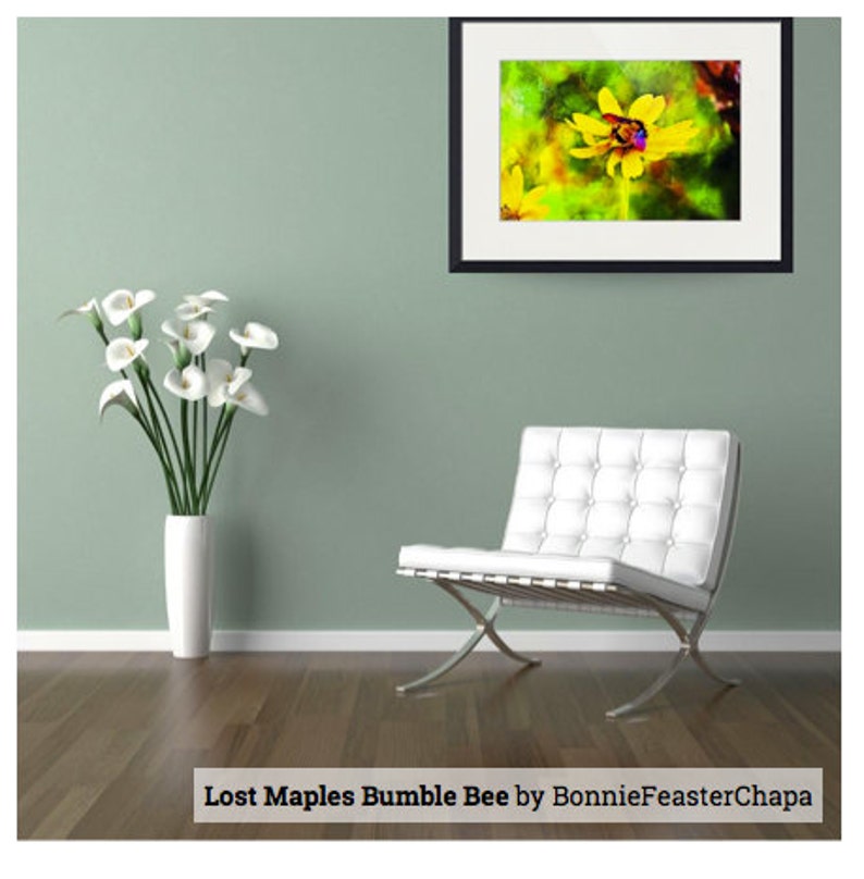 Bumble Bee Yellow Flower Lost Maples Texas State Park Wall Art Giclee ...