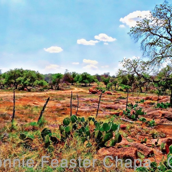 Texas Rustic Wall Art - Etsy