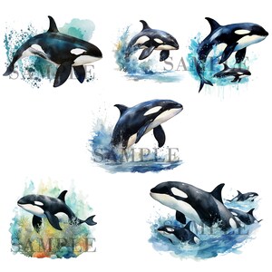 Orcas Watercolor Clipart Bundle Pack - Killer Whale Ocean Sea Creatures ...