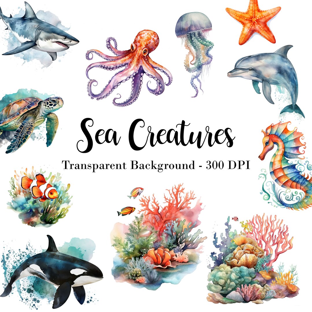 Sea Creatures Ocean Watercolor Clipart Pack 11 Transparent PNG Images ...