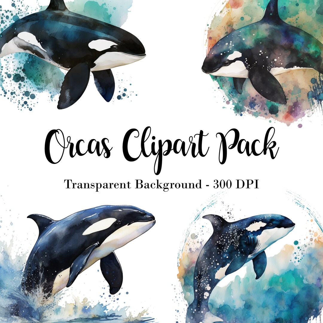 Orca Whale Clipart Pack - Nautical Orca Killer Whale Clip Pack 14 ...