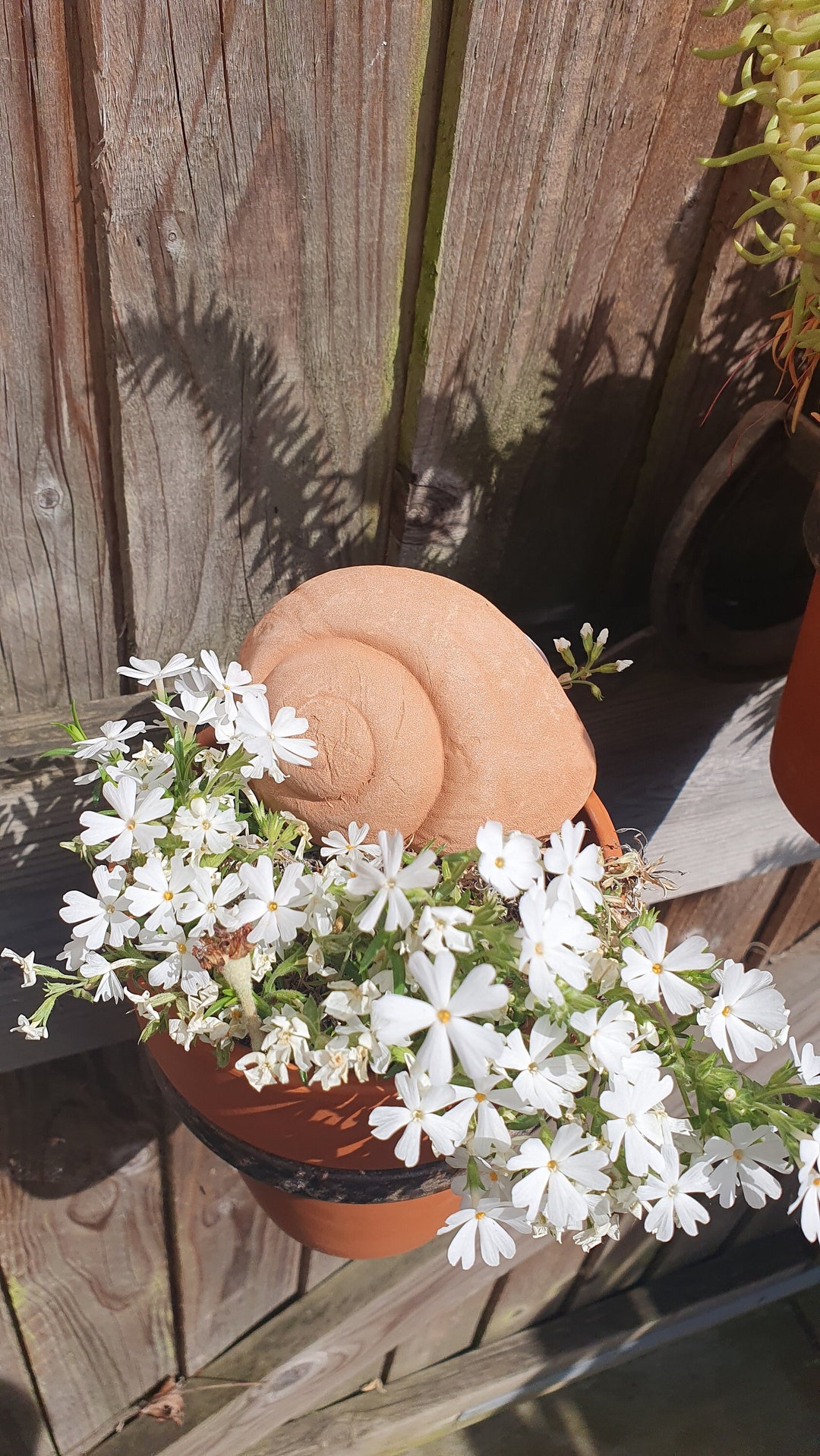 Terracotta Sea Shell Garden Yard Decorations Summer Solstice Snail ...