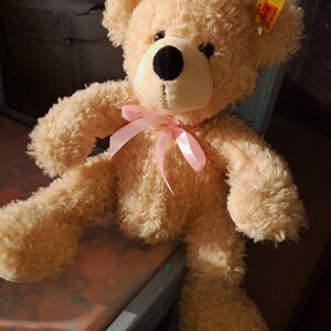 3+ Teddy Bear Vintage 70s Old Plush Toy Antique Plush Vintage Bears ...