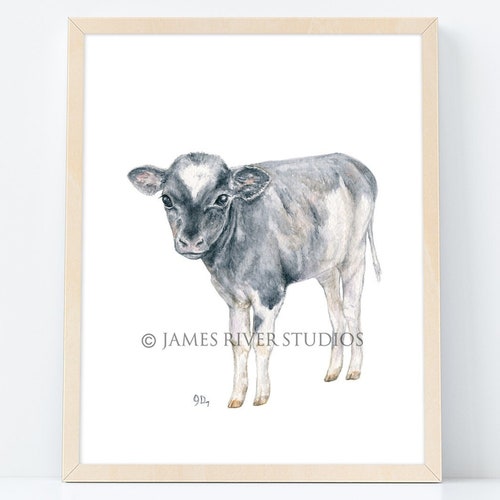 Calf Watercolor Print Calf Painting Cow Nursery Art Black - Etsy