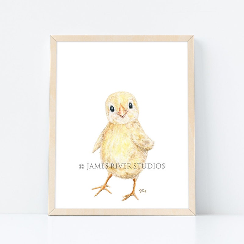 Chick Print - Etsy