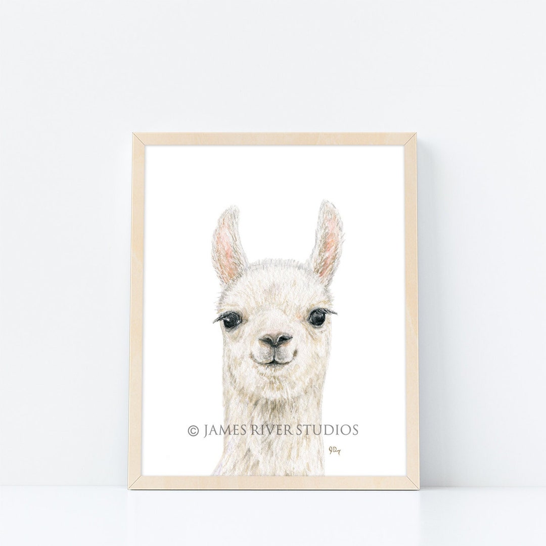 Llama Art Portrait Llama Print Llama Painting, Baby Llama Watercolor ...