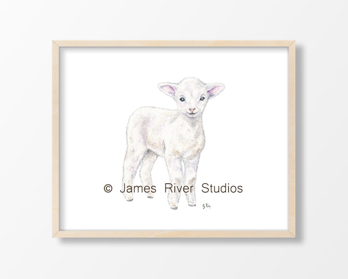 Lamb Art Lamb Painting Lamb Print. Lamb Watercolor Painting | Etsy