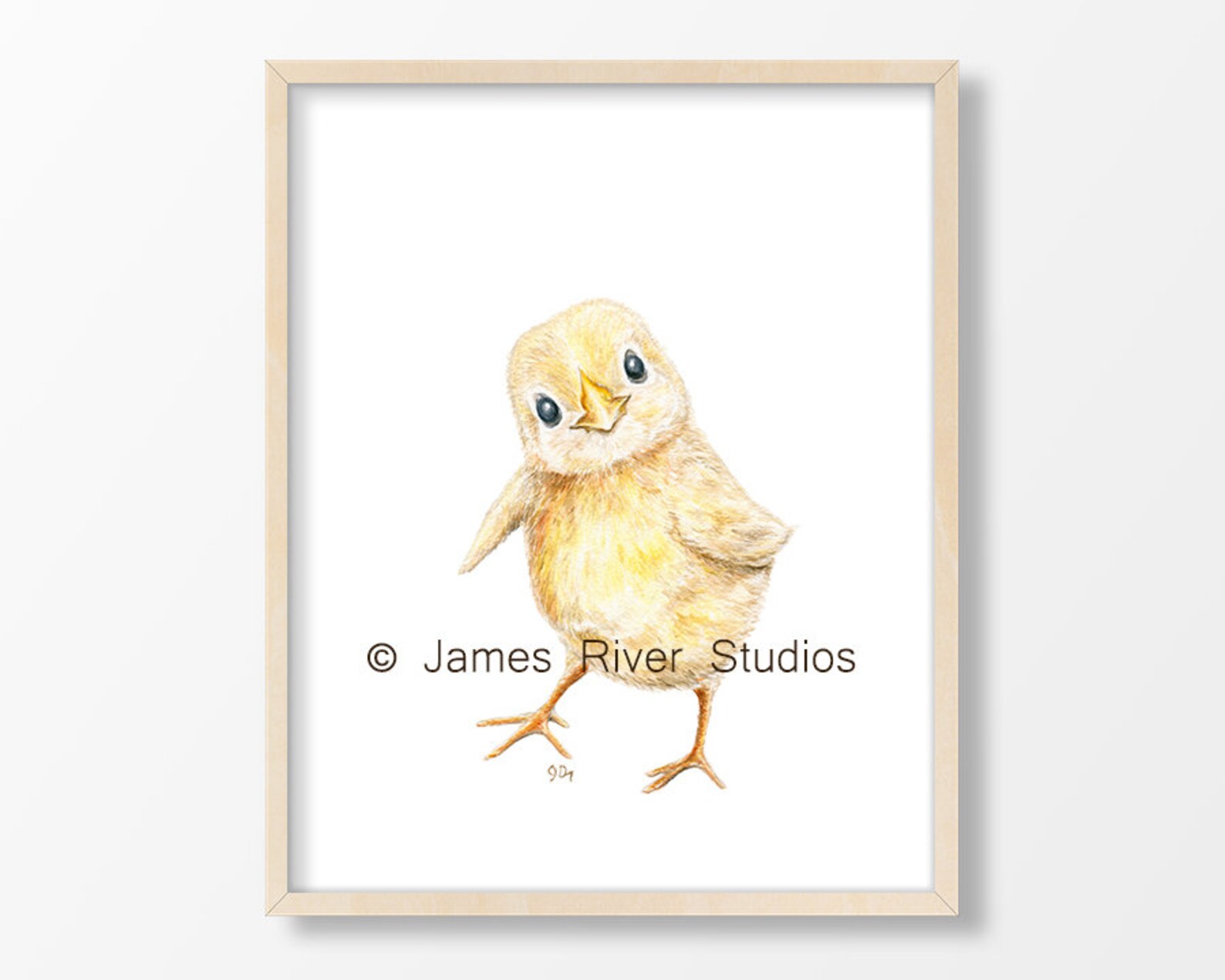 Baby Chick Art Baby Chicken Print. Farm Nursery Art Barn | Etsy