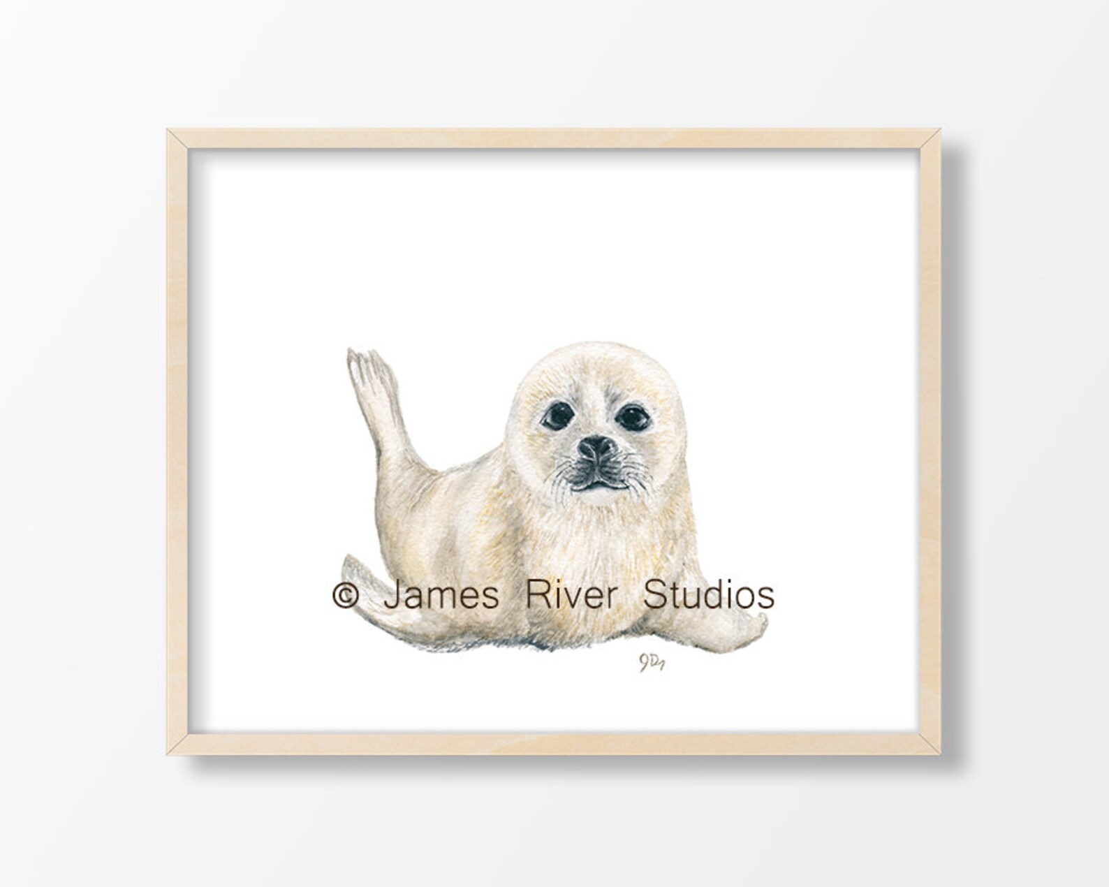 Seal Art Seal Painting Seal Print Seal Wall Art Seal Wall Decor Seal ...