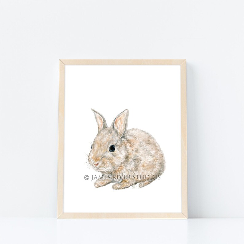 Bunny Rabbit Art Bunny Rabbit Print. Bunny Rabbit Watercolor - Etsy