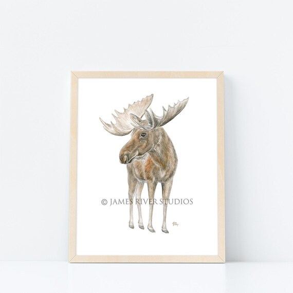 Moose Art Moose Watercolor Moose Print Moose Painting Moose - Etsy
