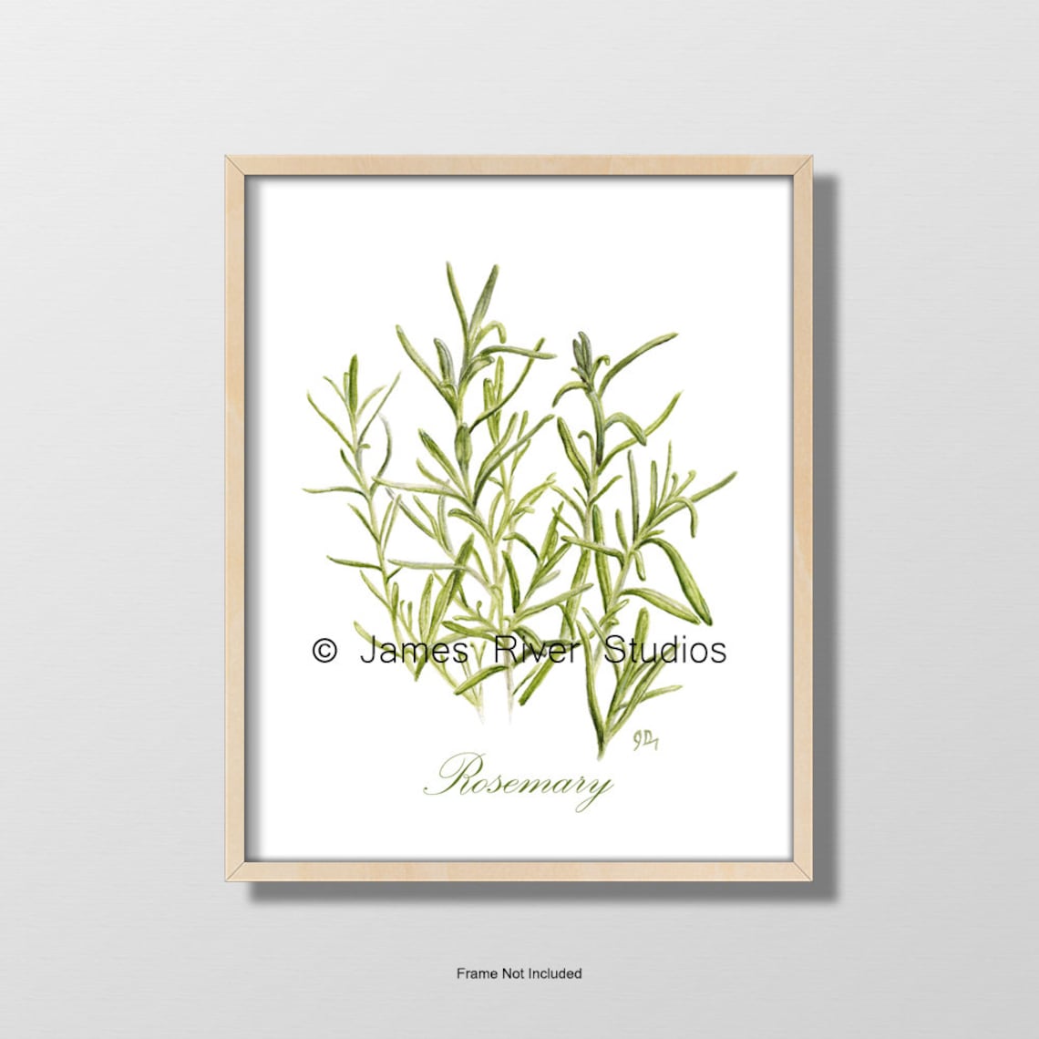Rosemary Art Rosemary Print Rosemary Painting Rosemary - Etsy Italia