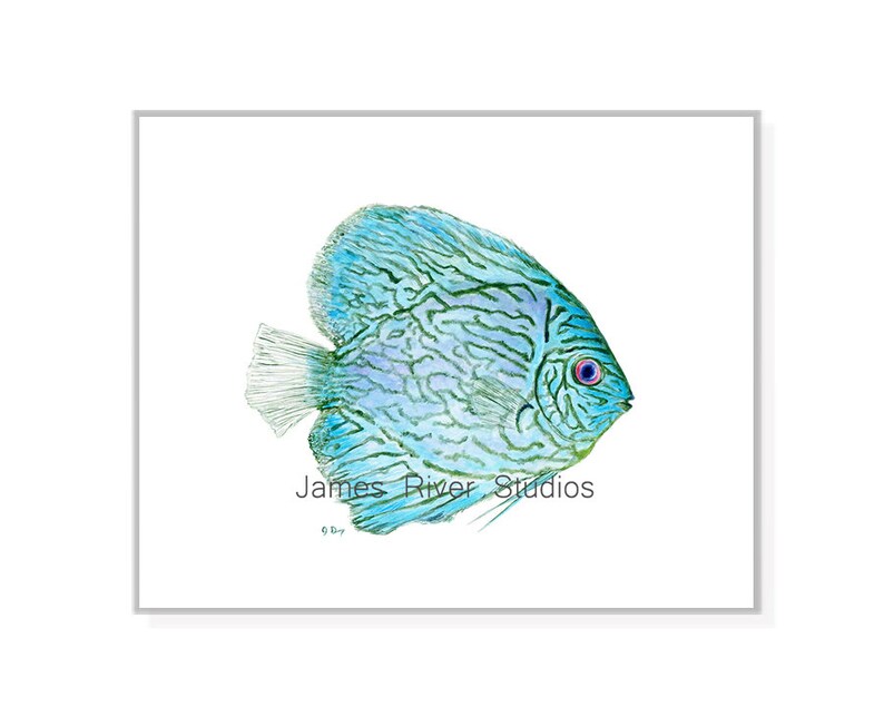 Blue Tropical Fish Art Tropical Fish Painting Blue Fish Print. | Etsy