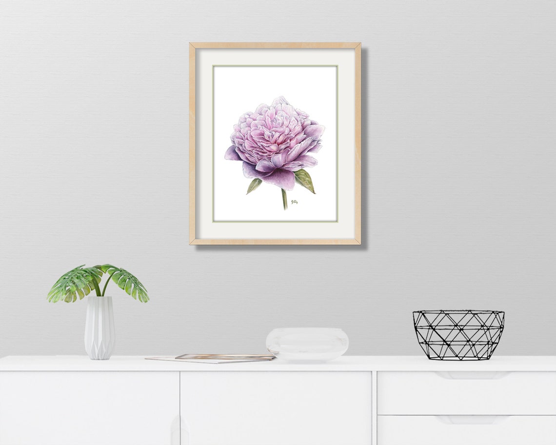 Peony Art Peony Painting Peony Print. Peony Watercolor Painting Peony ...