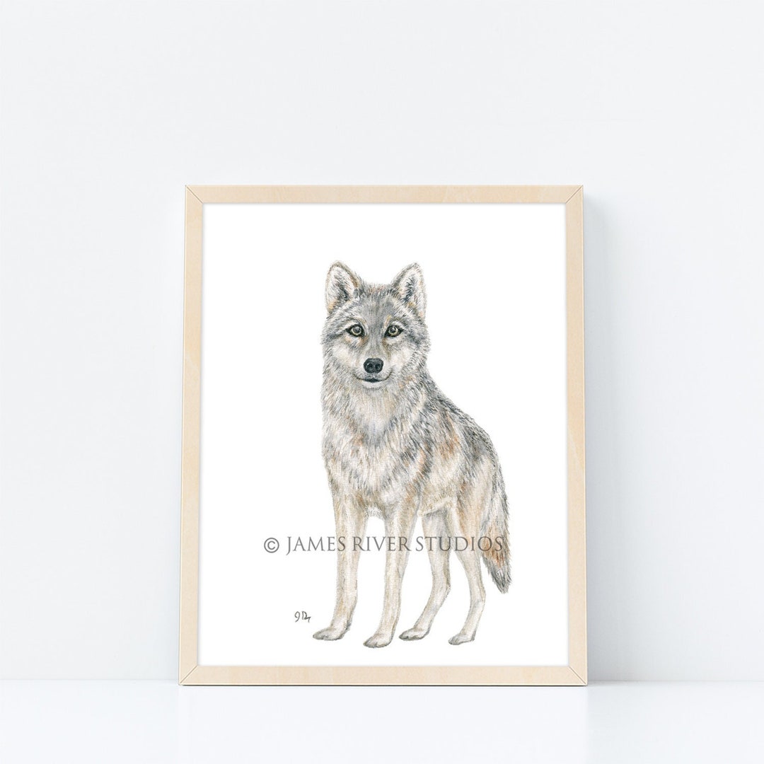 Wolf Art Wolf Print Wolf Painting Wolf Watercolor Wolf Wall Art Wolf ...