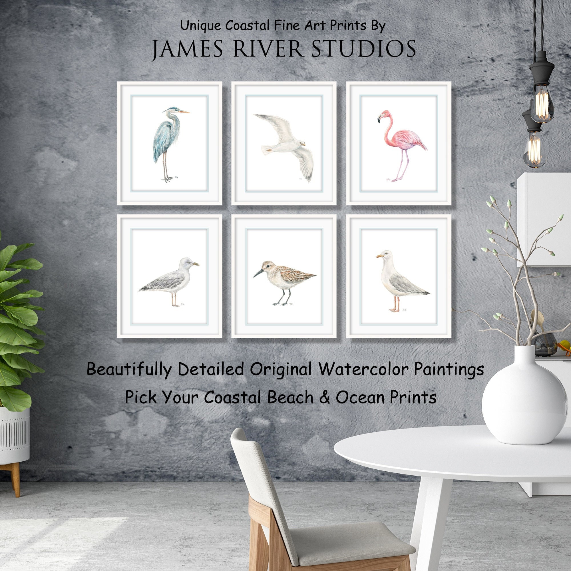 Seabird Prints Sea Bird Art Beach Bird Prints Ocean Bird Art, Coastal ...