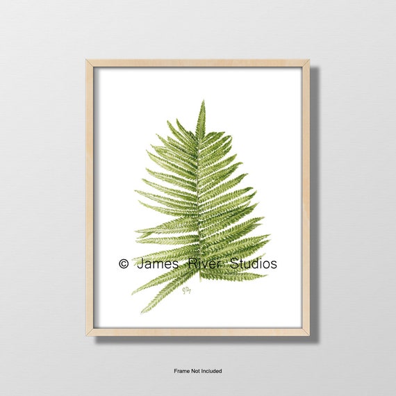 Fern Print Fern Art Fern Painting Tropical Fern Watercolor | Etsy