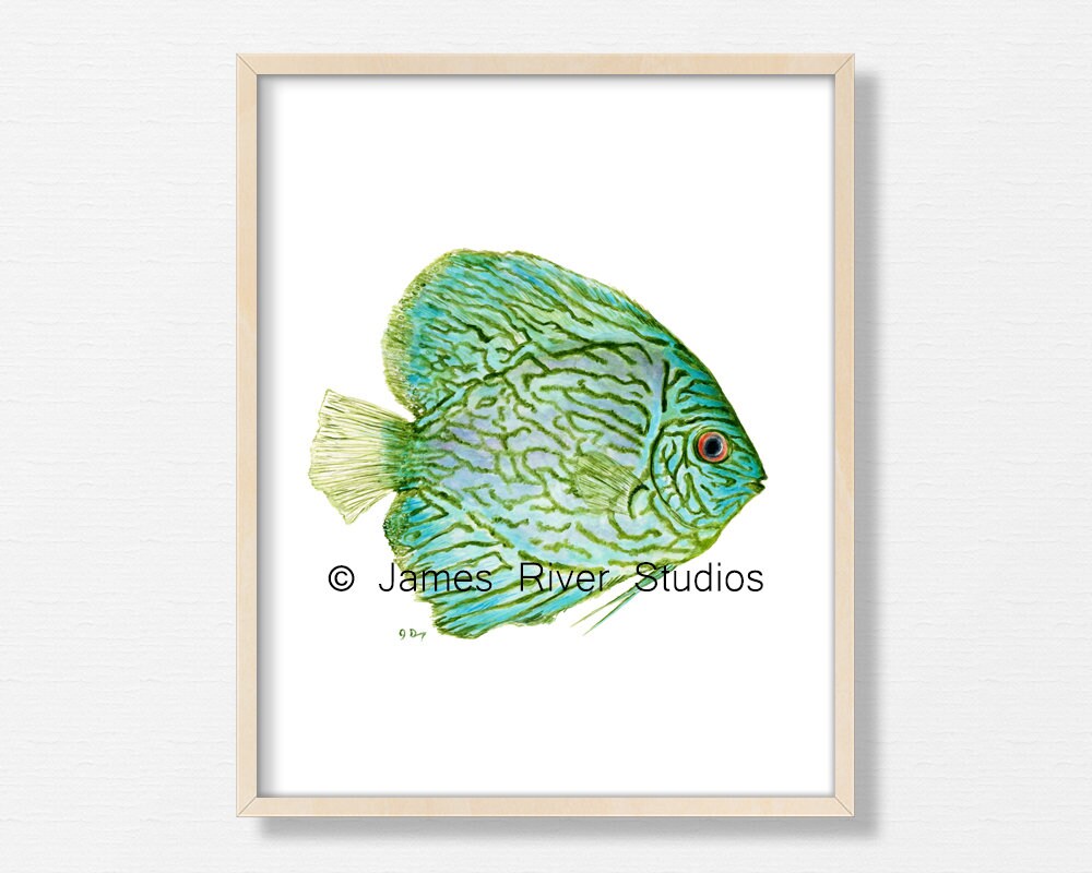 Tropical Fish Art Fish Painting Fish Print. Tropical Painting | Etsy