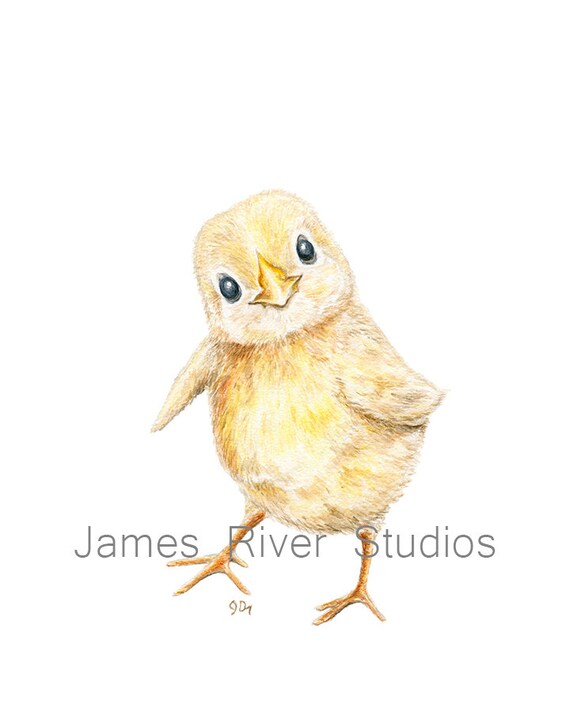 Baby Chick Art Baby Chicken Print. Farm Nursery Art Barn | Etsy