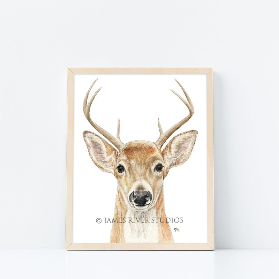 Deer Art Portrait Buck Print, Deer Painting Baby Deer Watercolor, Deer ...
