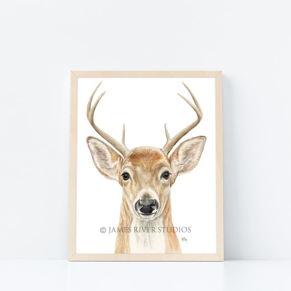 Deer Art Portrait Buck Print Deer Painting Baby Deer - Etsy