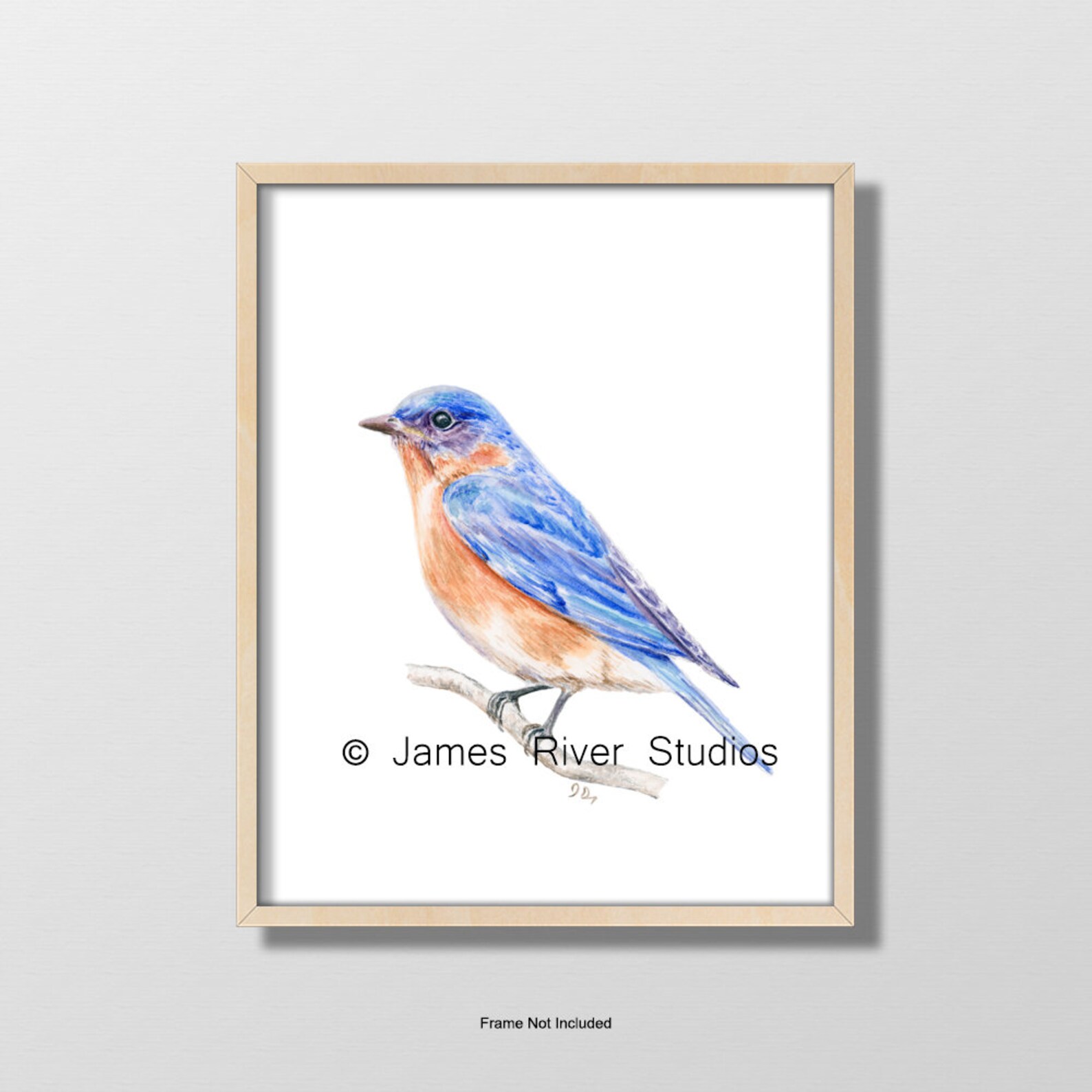 Bird Art Bird Painting Bird Print Bird Watercolor Painting | Etsy