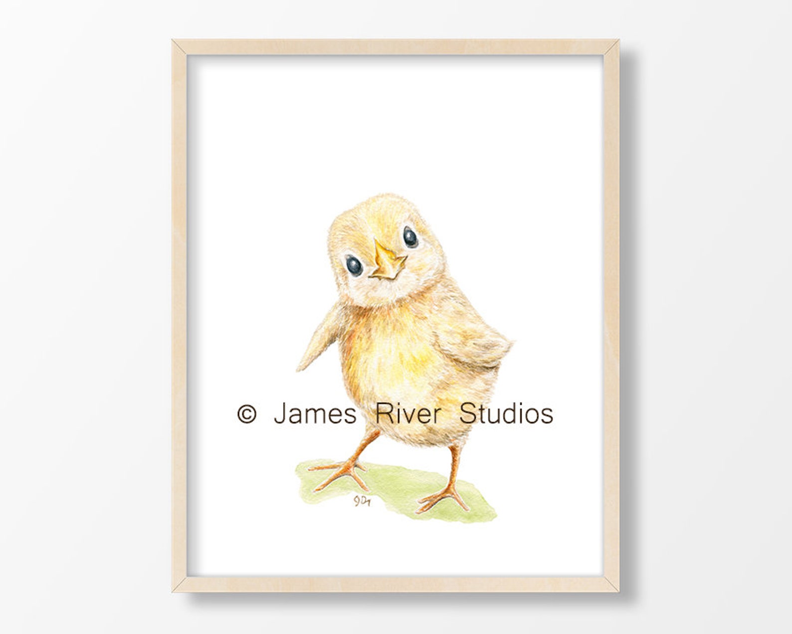 Baby Chick Art Baby Chicken Print. Farm Nursery Art Barn | Etsy