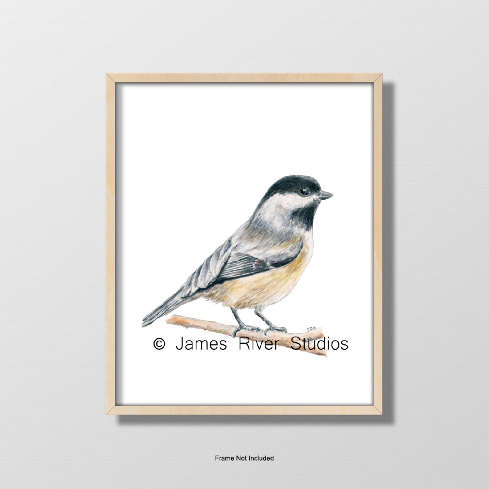 Chickadee Art Chickadee Painting Chickadee Print. Chickadee - Etsy