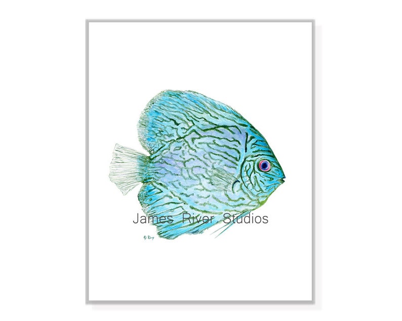 Blue Tropical Fish Art Tropical Fish Painting Blue Fish Print. | Etsy