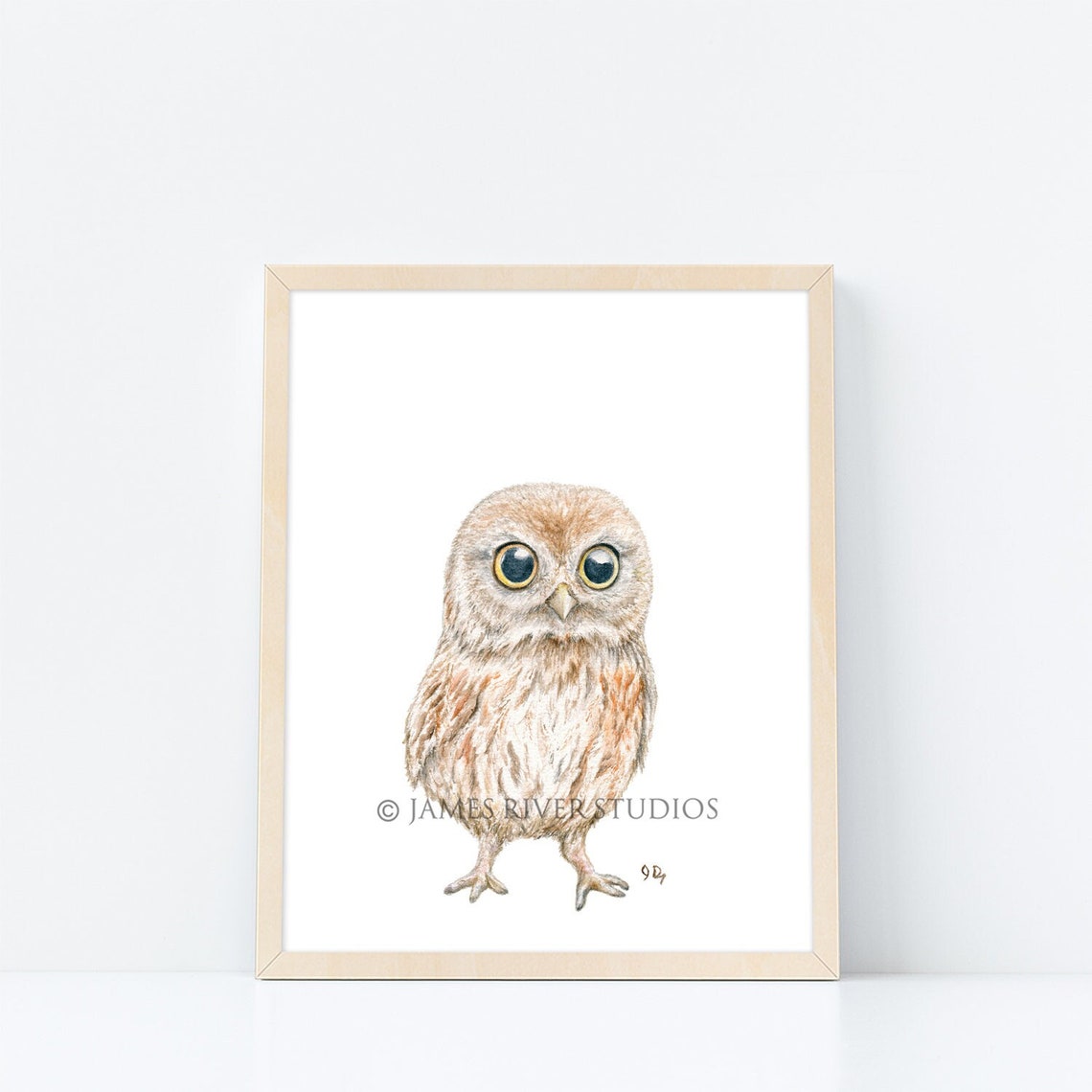 Owl Art Owl Painting Owl Print Baby Owl Watercolor Baby Bird - Etsy